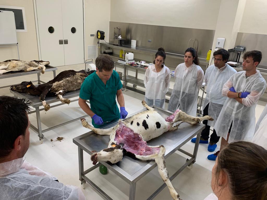 jornada-necropsias-lerida